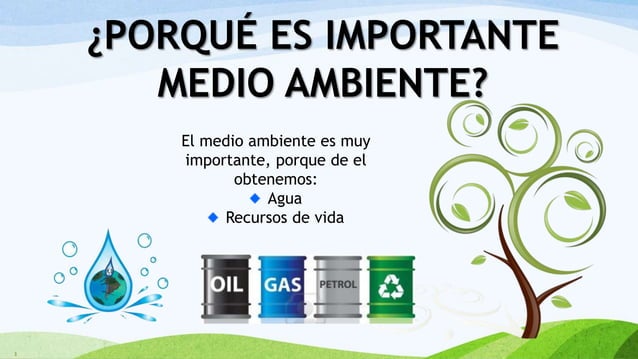 Medio Ambiente | PPT