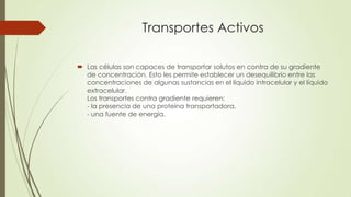 Medio interno y externo de la célula | PPTX