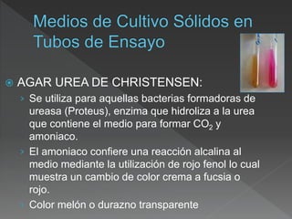 MEDIOS DE CULTIVO.pptx