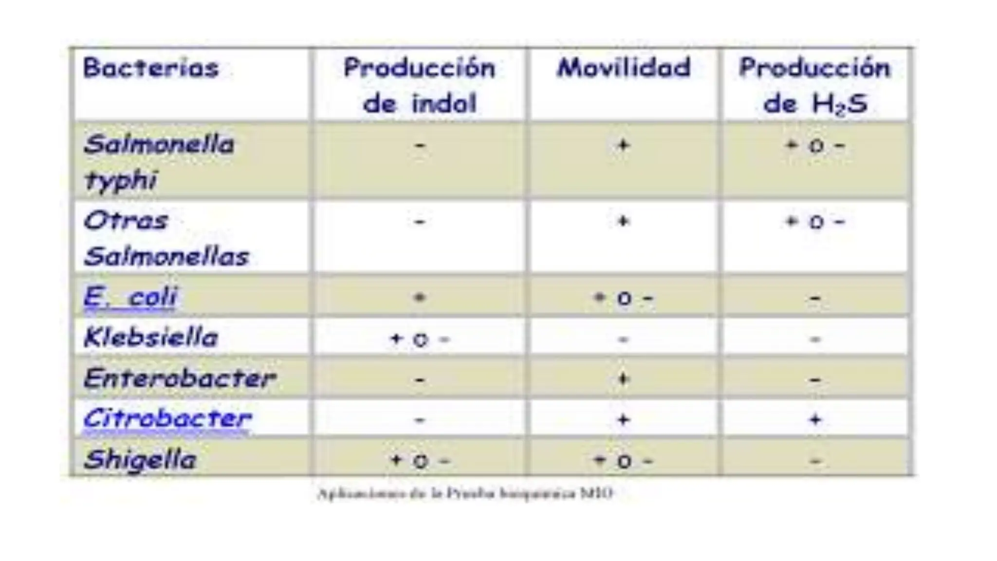 MEDIOS DE IDENTIFICACION DE ENTEROBACTERIAS.pptx