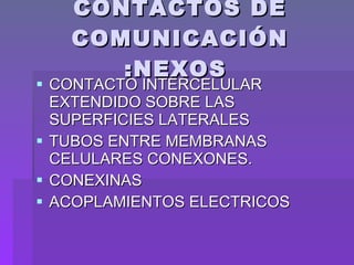 Medios union | PPT