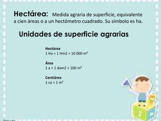 Medir y medida | PPTX