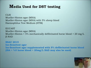 Culture Media used for Antimicrobial Testing | PPT