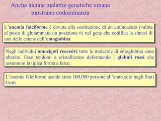 Med ita biologia - genetica(mendel) (4) | PPT