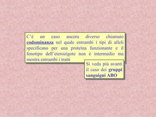 Med ita biologia - genetica(mendel) (4) | PPT