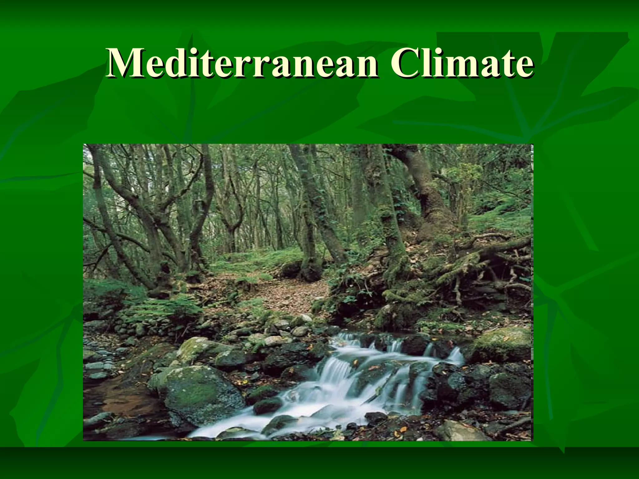 Mediterranean climate | PPT