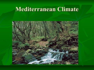 Mediterranean Climate Vegetation
