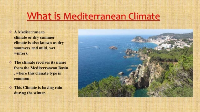 Mediterranean Climate.pptx
