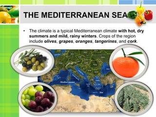 Mediterranean Countries and Their Food | PPTX