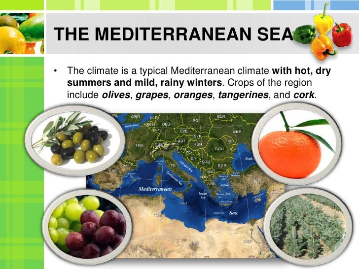 Mediterranean Food Countries | Cuisine Méditerranéenne Traditionnelle ...