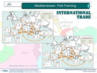 Mediterranean fish farming; To grow or not to grow | PDF