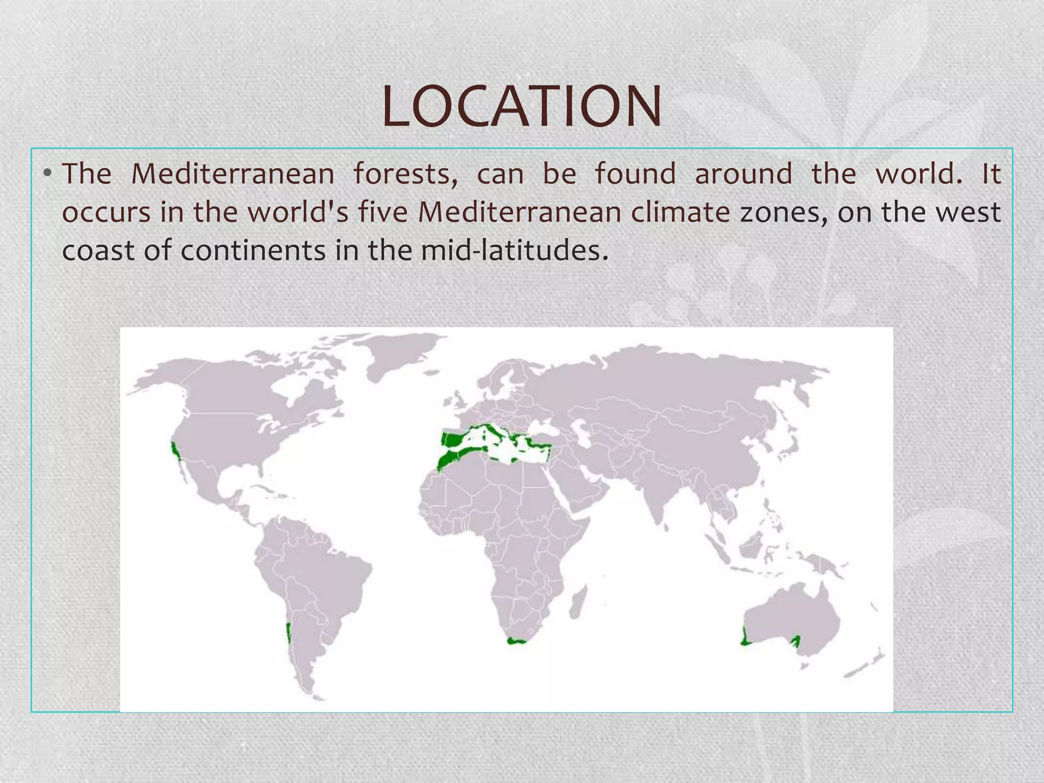 Mediterranean forest by paqelena | PPTX | Geography | Science