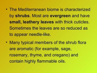 Mediterranean scrub flora & fauna | PPT