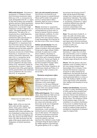 Mediterranean ticks | PDF