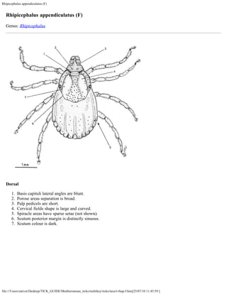 Rhipicephalus Appendiculatus