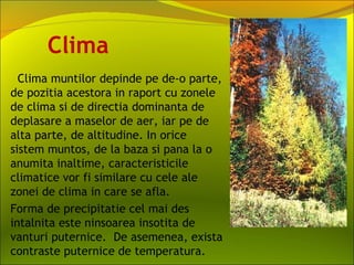 Mediul geografic al muntilor inalti | PPT