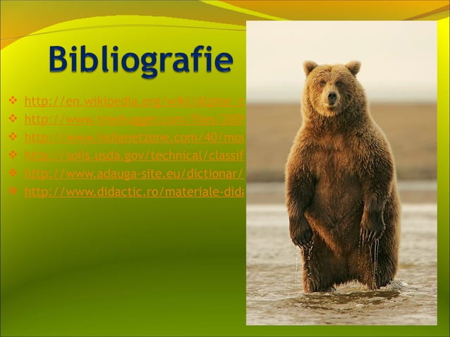 Mediul geografic al muntilor inalti | PPT