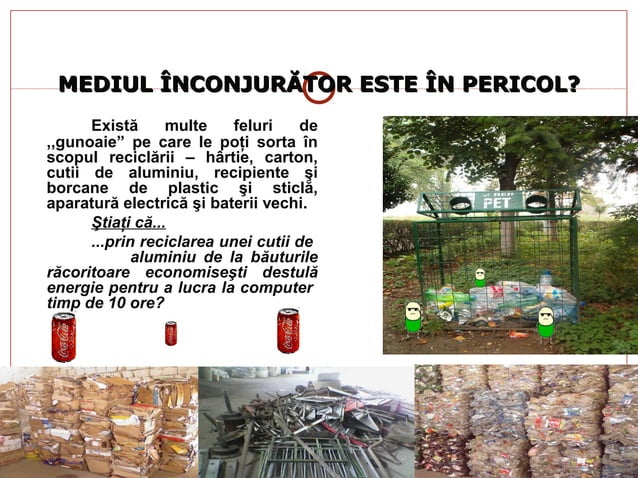 Mediul inconjurator | PPS