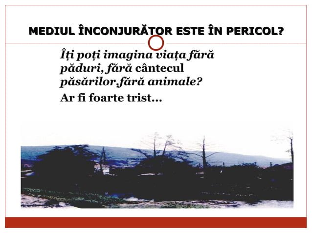 Mediul inconjurator | PPS