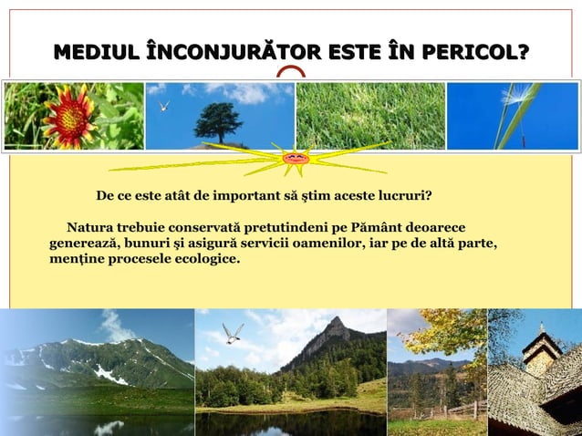 Mediul inconjurator | PPS