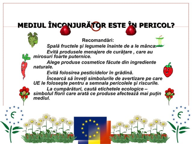 Mediul inconjurator | PPS