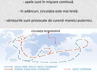 Mediul oceanic | PPTX