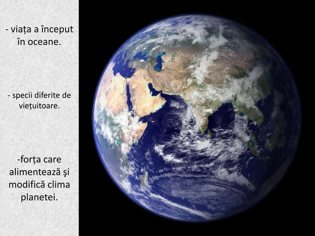 Mediul oceanic | PPTX