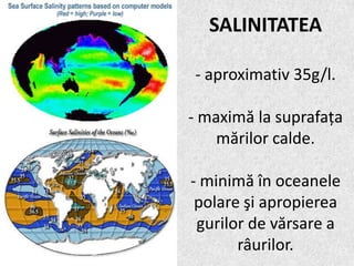 Mediul oceanic | PPTX