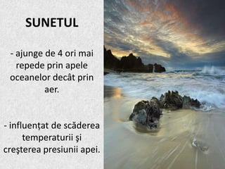 Mediul oceanic | PPTX