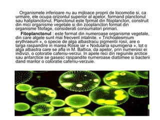 Mediul pelagic 11 c | PPT