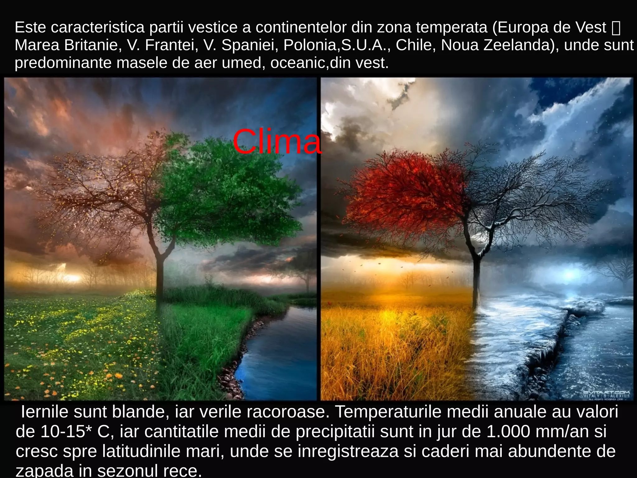 Mediul temperat oceanic 11 c | PDF