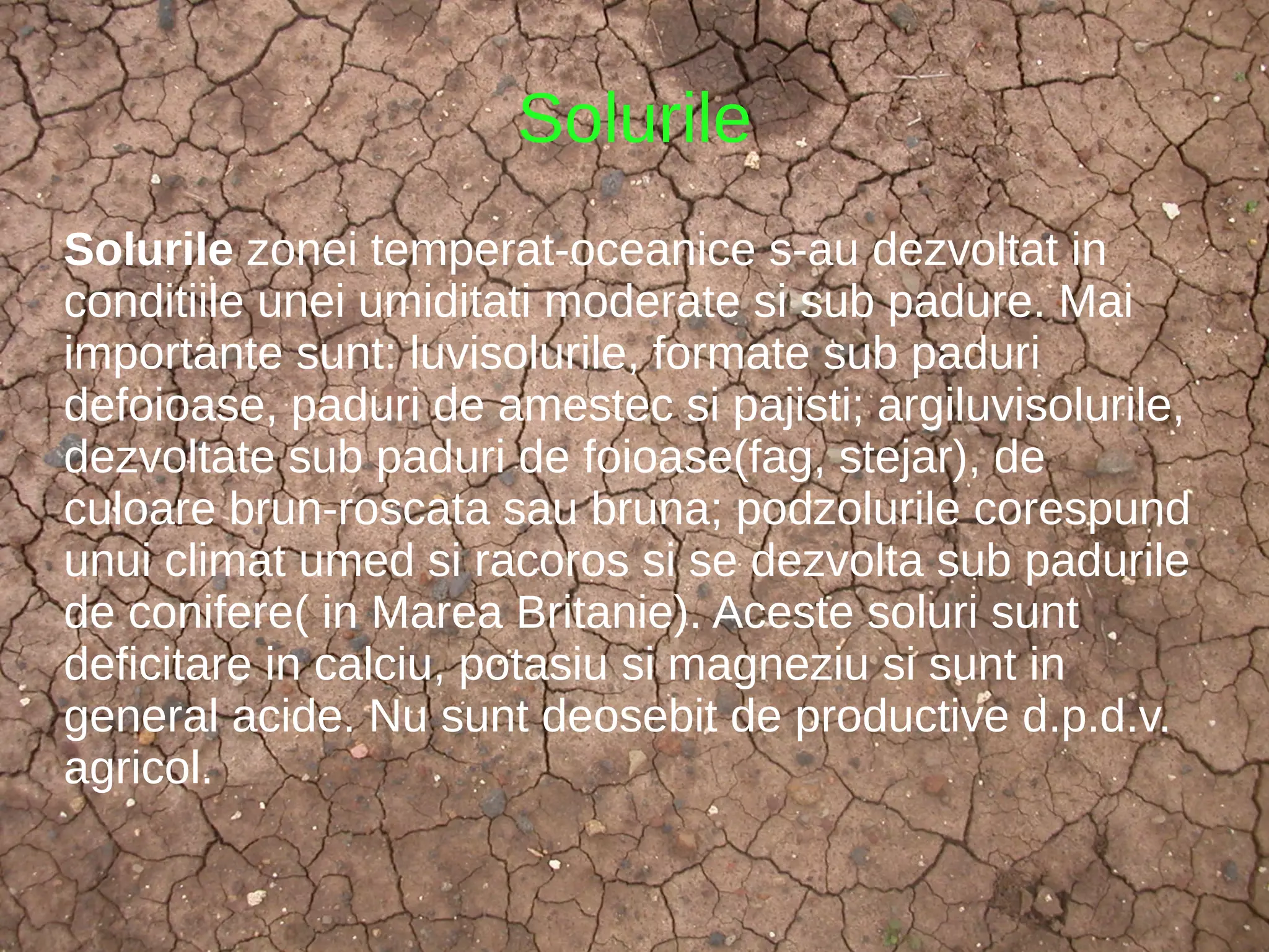 Mediul temperat oceanic 11 c | PDF