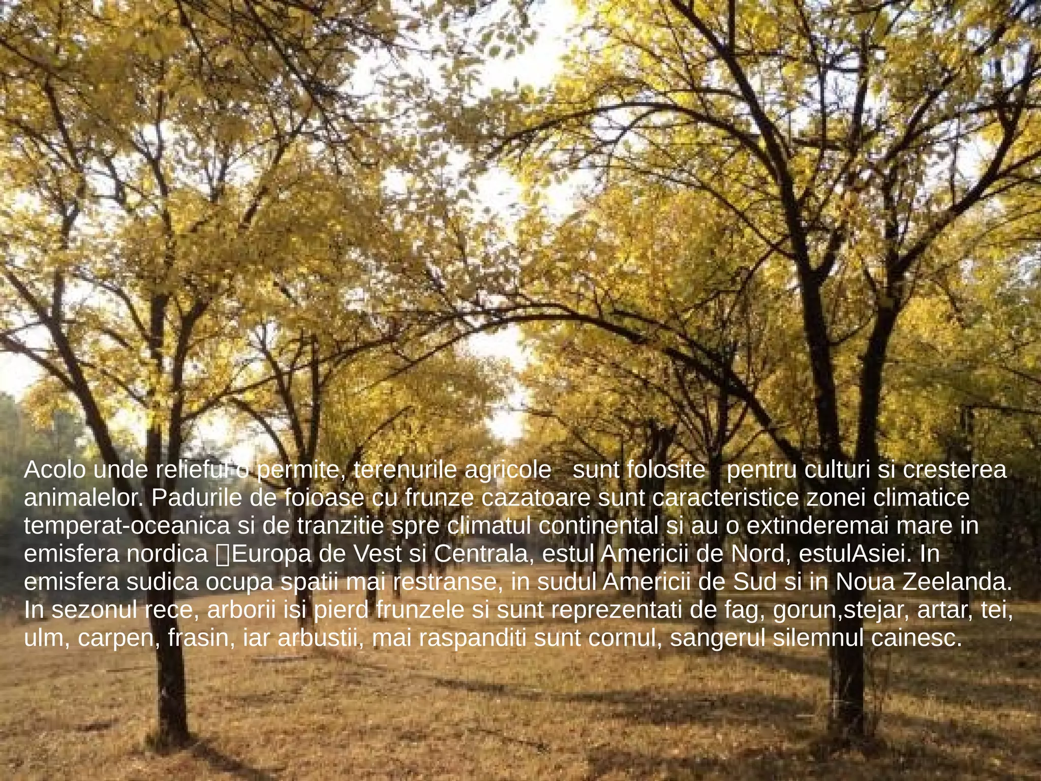 Mediul temperat oceanic 11 c | PDF