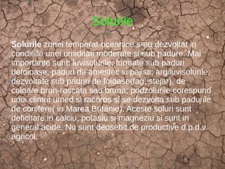 Mediul temperat oceanic 11 c | PDF