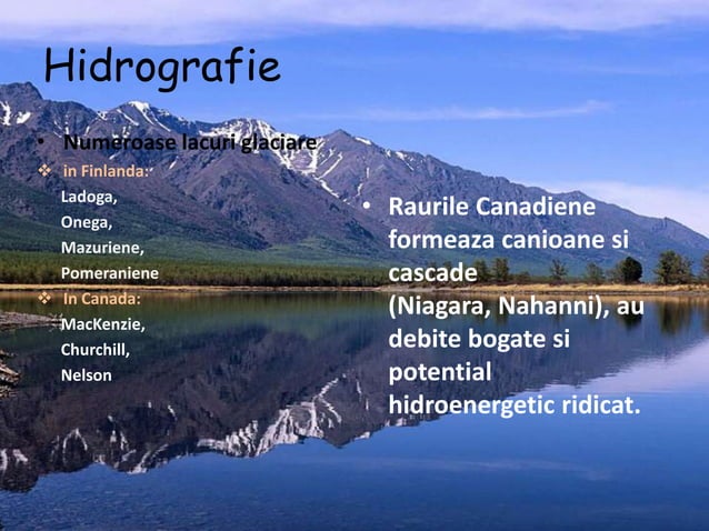 Mediul temperat rece 11C ( Nicolae Andrei Niculae Mihaela) | PPT