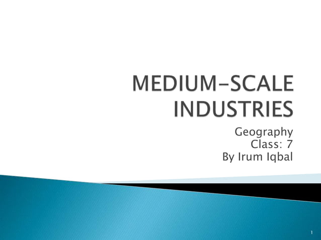 Medium Scale Industries | PPT