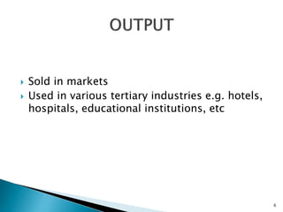 Medium Scale Industries | PPT