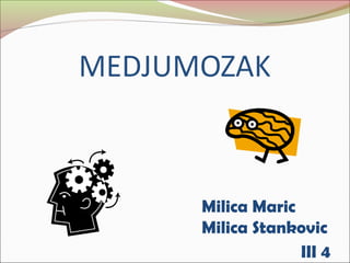 Medjumozak | PPT