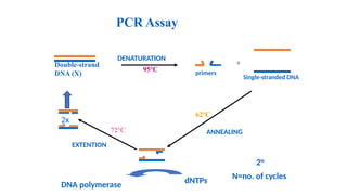 Molecular Diagnostics: PCR with variation I_3-2-20.pptx