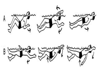 Medley race in swimming | PPTX
