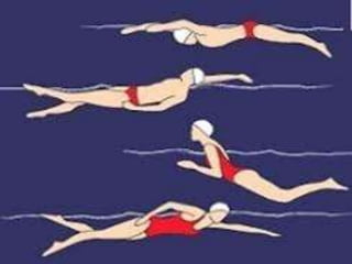 Medley race in swimming | PPTX