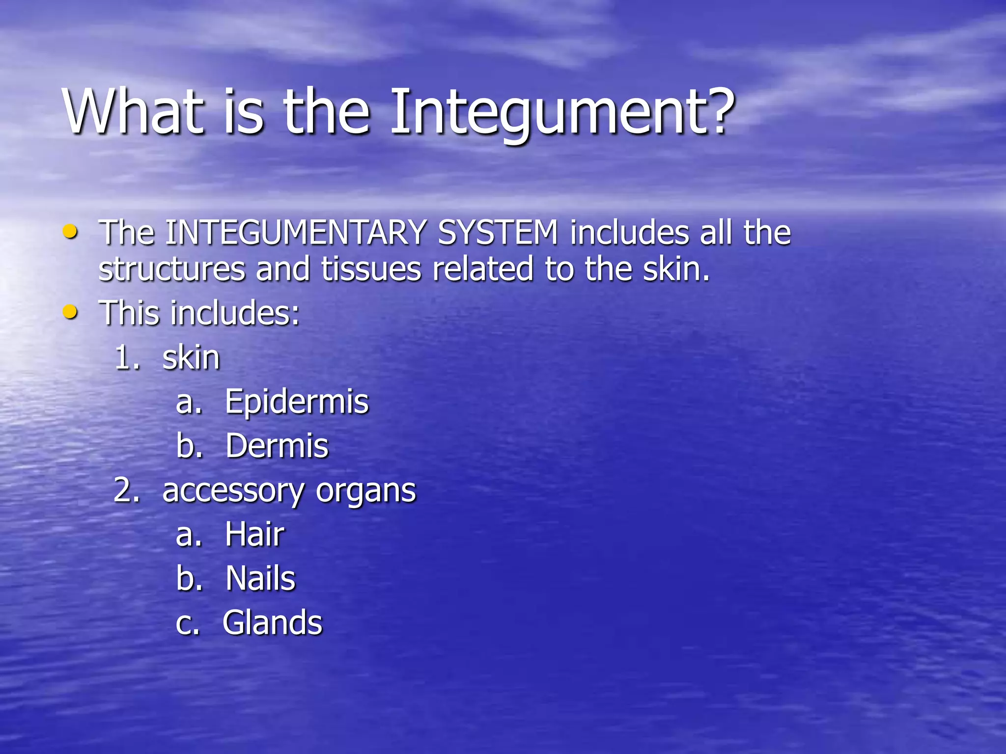 MEDL The Integumentary System.ppt | Skin and Dermatology | Diseases and Conditions