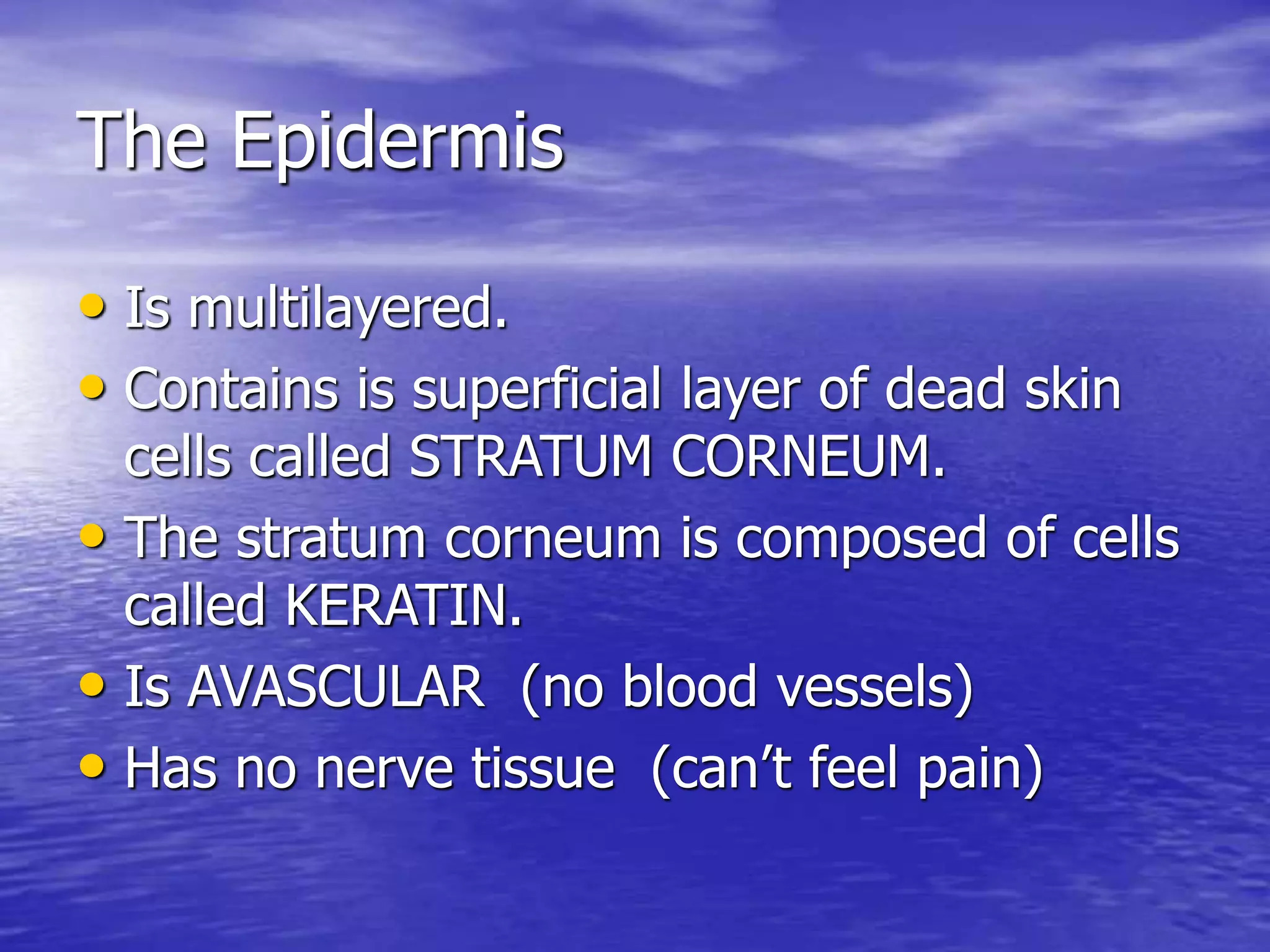 MEDL The Integumentary System.ppt | Skin and Dermatology | Diseases and ...