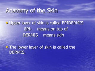 MEDL The Integumentary System.ppt