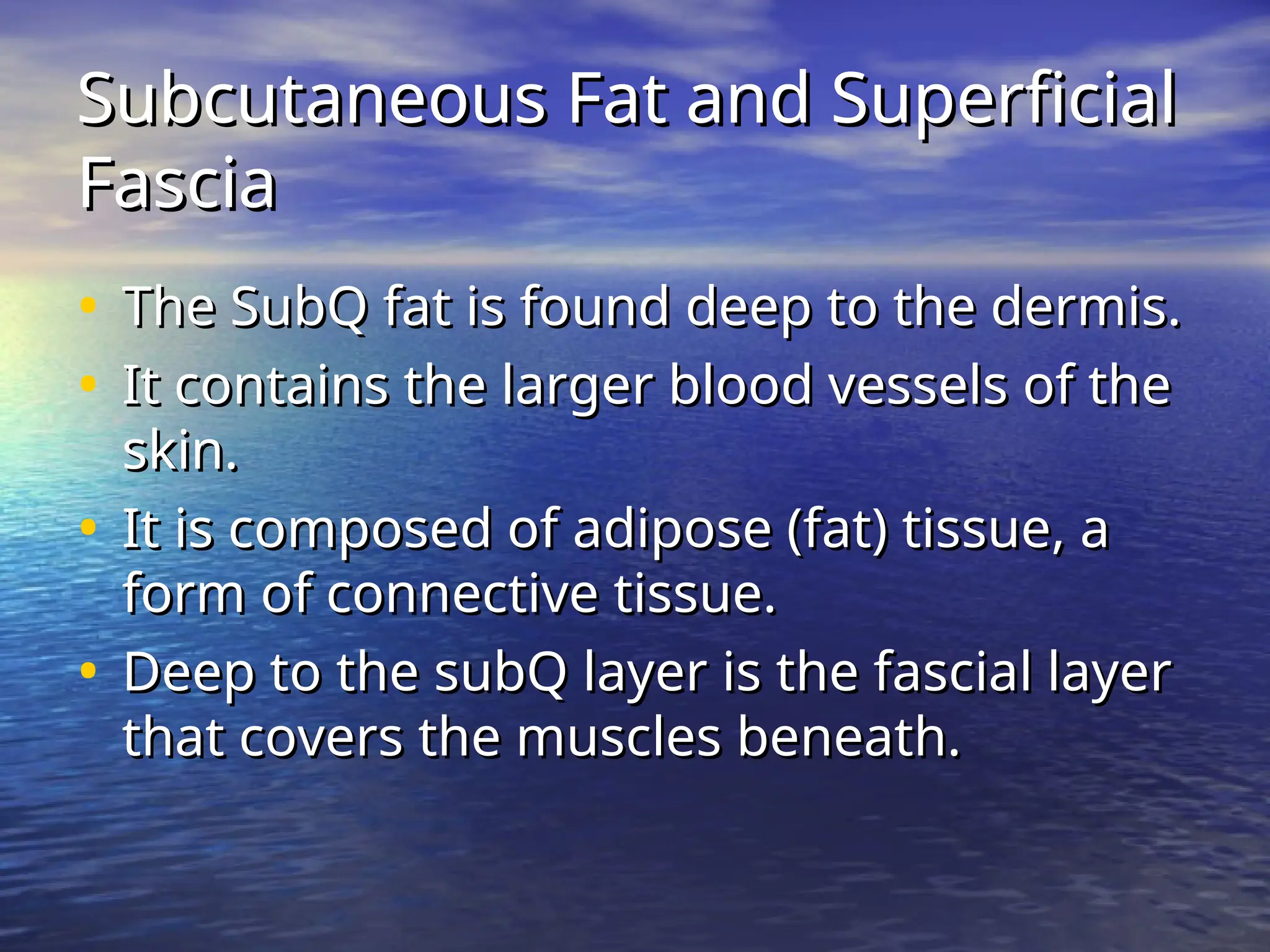 MEDL The Integumentary System........ppt