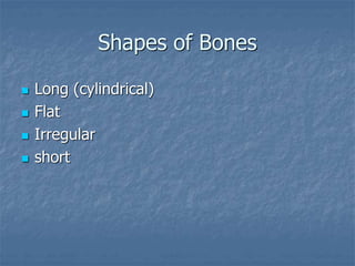 MEDL The Musculoskeletal System.ppt anatomy and physiology | PPT
