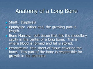 MEDL The Musculoskeletal System.ppt anatomy and physiology | PPT