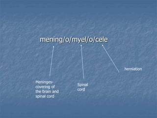 MEDL The Musculoskeletal System.ppt anatomy and physiology | PPT