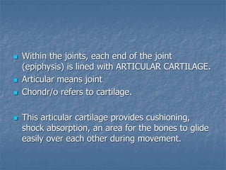 MEDL The Musculoskeletal System.ppt anatomy and physiology | PPT