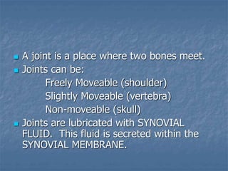 MEDL The Musculoskeletal System.ppt anatomy and physiology | PPT